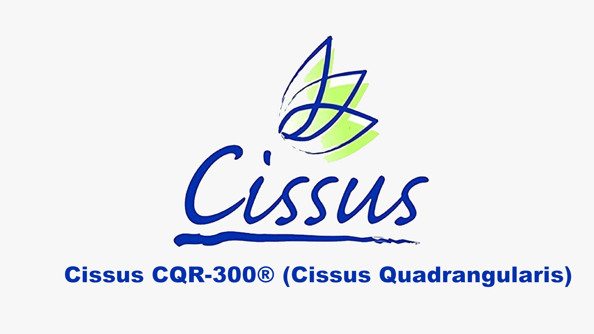 CQR-300® | Patented Cissus Extract for Weight & Metabolic